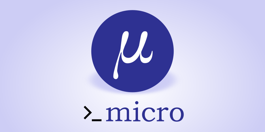 Micro Text Editor: Lightweight and Intuitive Terminal-Based Editor