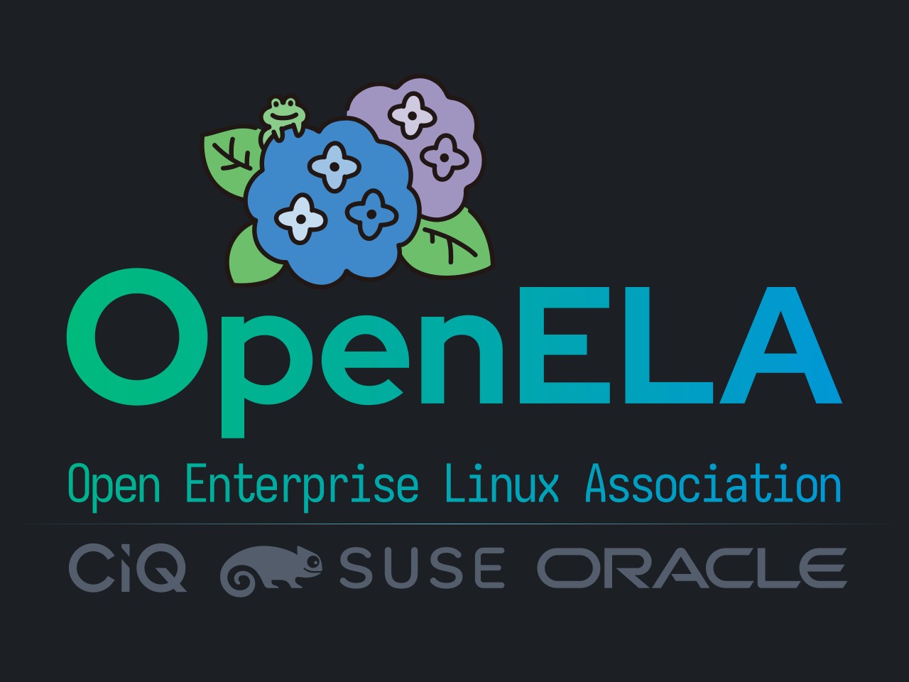 Rocky, Oracle, and SUSE Join Forces against Red Hat in OpenELA