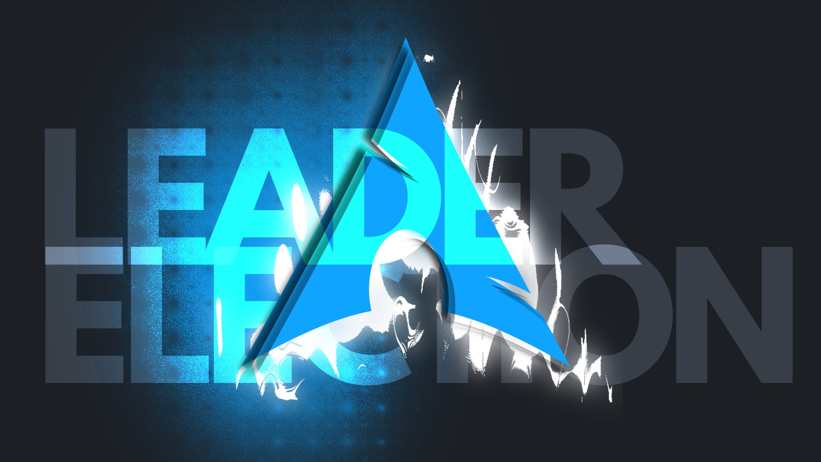 Arch Linux Re-Elects Current Leader for Another Term