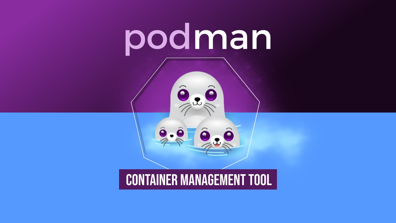 Podman 5.3 Promises an Enhanced Rootless Networking