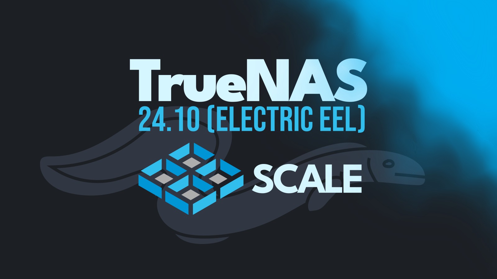 TrueNAS SCALE 24.10 Shifts from Kubernetes to Docker