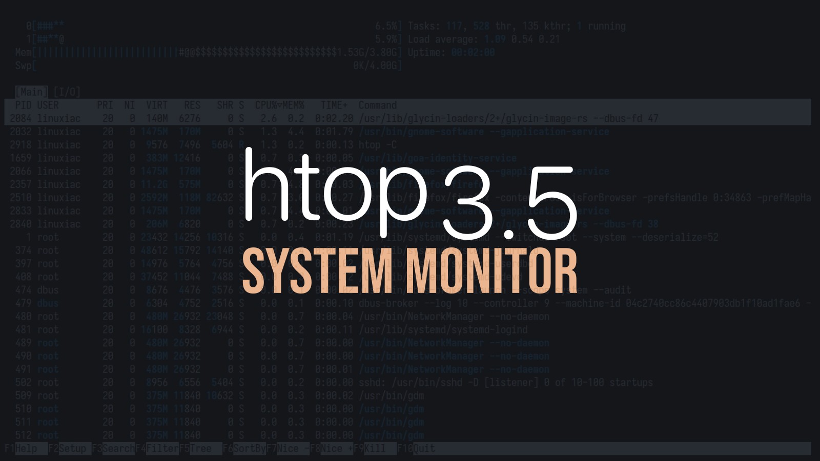htop 3.5 System Monitor Released with Backtrace Screen, New Meters